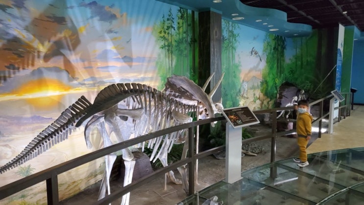 강원도 고성여행 아이와 함께 가볼만한 곳 화진포 생태박물관 공룡공룡🦖🦕 네이버 블로그