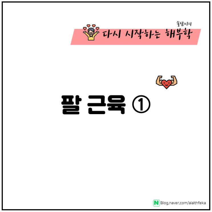 다시 시작하는 해부학 팔근육 1 위팔근 상완근 위팔노근 상완요골근 노쪽손목굽힘근 요측수근골근 긴손바닥근 장장근 자쪽손목