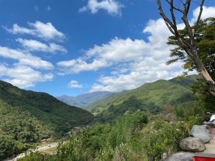 산청 지리산 대경오토캠핑장 사이트 A8 A열 전사이트 뷰 신일 팬히터 900 듀랑고r2 네이버 블로그