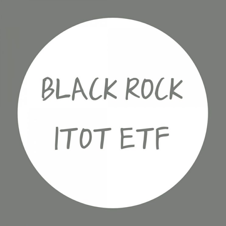 미국주식/인덱스ETF를 해야하는 이유와 ITOT ETF 분석과 투자기록 : 네이버 블로그