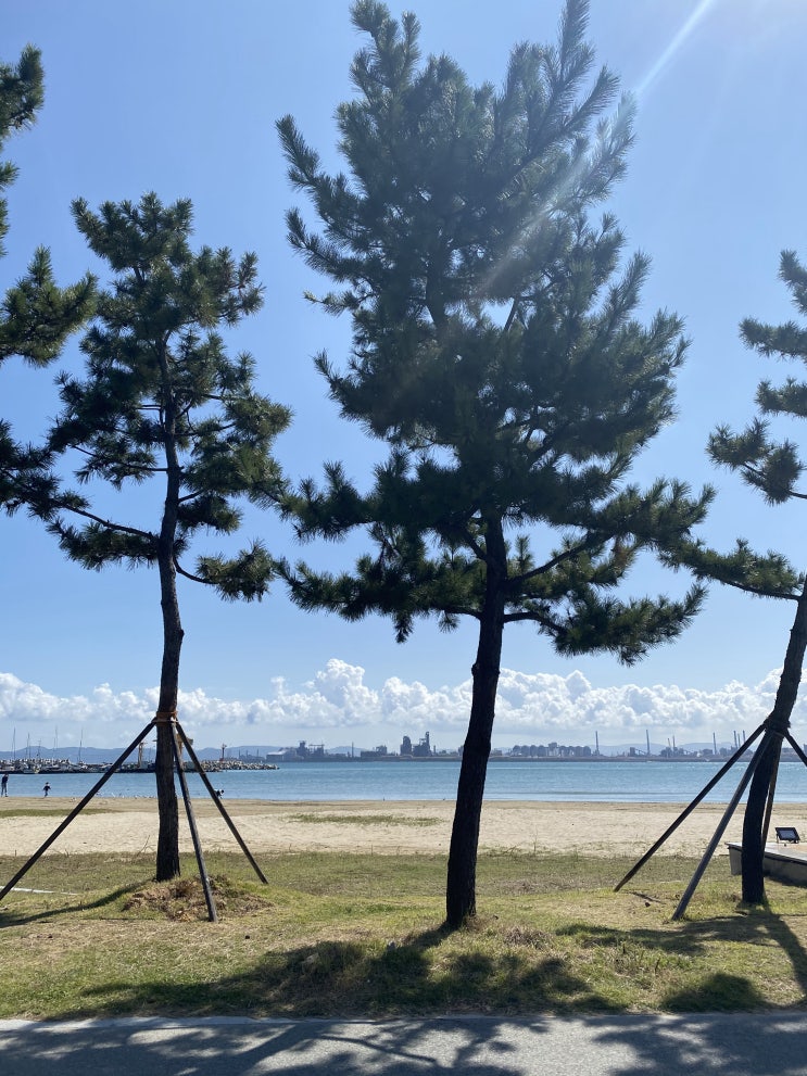 2021 중등 임용고시 원서접수 완료 응시료 And 원서접수 및 결과확인 사이트나이스 교직원 온라인 채용 네이버 블로그