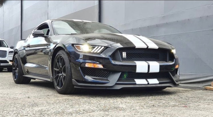 쉘비 gt350 입고 : 네이버 블로그