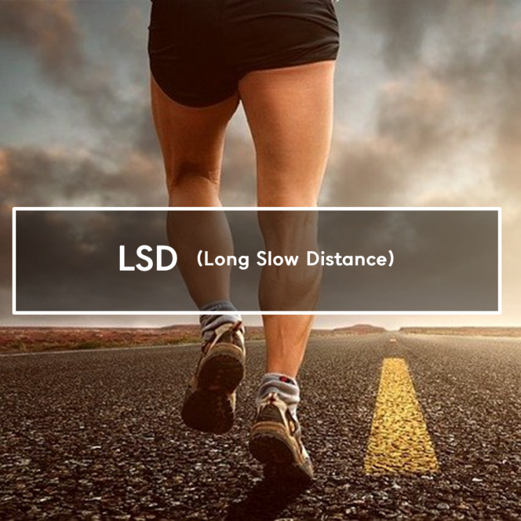 풀코스를 준비를 위한 장거리 연습, LSD 훈련 : 네이버 블로그