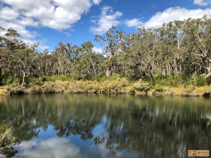 [다녀요] Canebrake Pool / 케인브레이크 풀 / 서호주 / 캠프사이트 / 캠핑 : 네이버 블로그