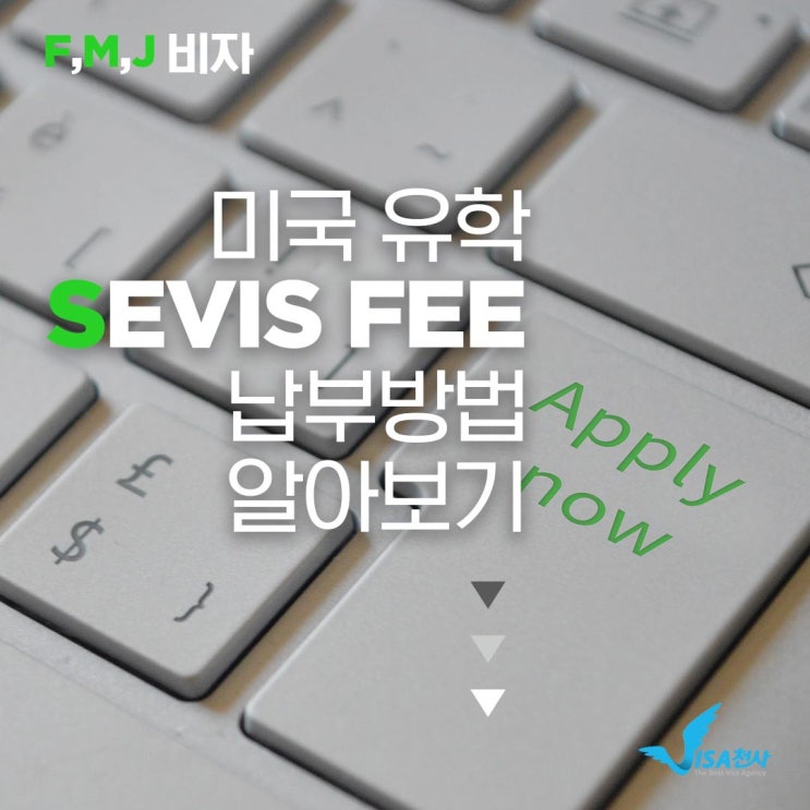 [F] 미국 유학/교환/인턴/방문비자 SEVIS fee 납부방법 알아보기 : 네이버 블로그