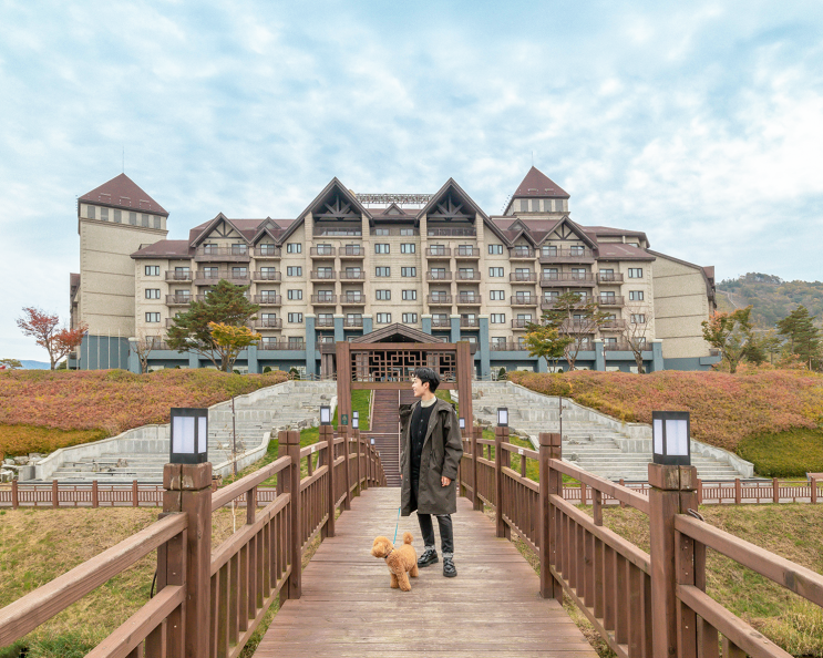강원도 평창 알펜시아 리조트 🐶 펫패키지로 애견 동반 여행 즐기기 네이버 블로그