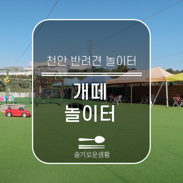 개떼놀이터 천안아산점 강아지 운동장애견동반식당 네이버 블로그