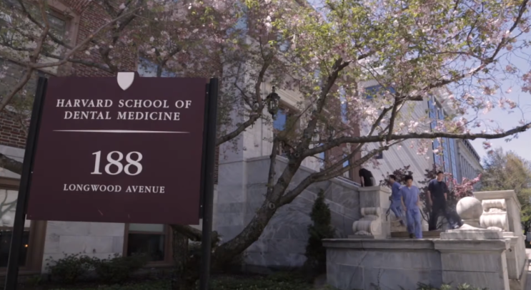 미국하버드치대 (Harvard School of Dental Medicine) 합격은? : 네이버 블로그