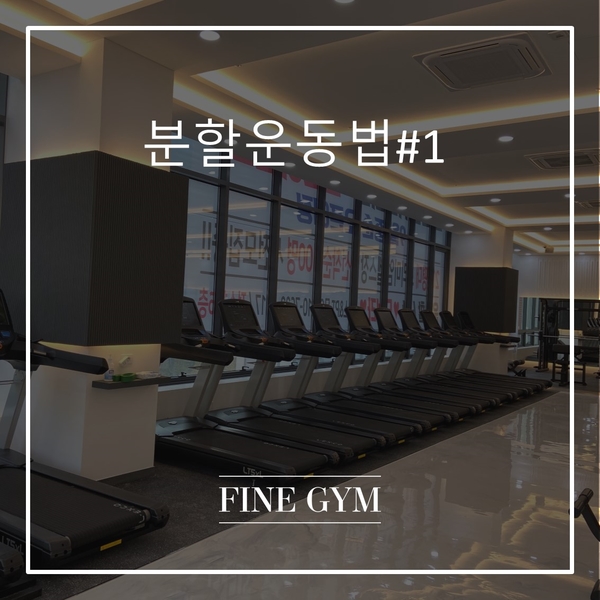 은계지구헬스 남자 여자 헬스 운동순서 1 분할 운동법 무분할 운동 네이버 블로그
