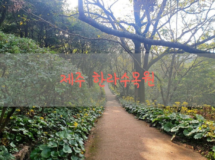 제주 한라수목원 광이오름과 대나무숲까지 한번에 볼수 있는곳 네이버 블로그