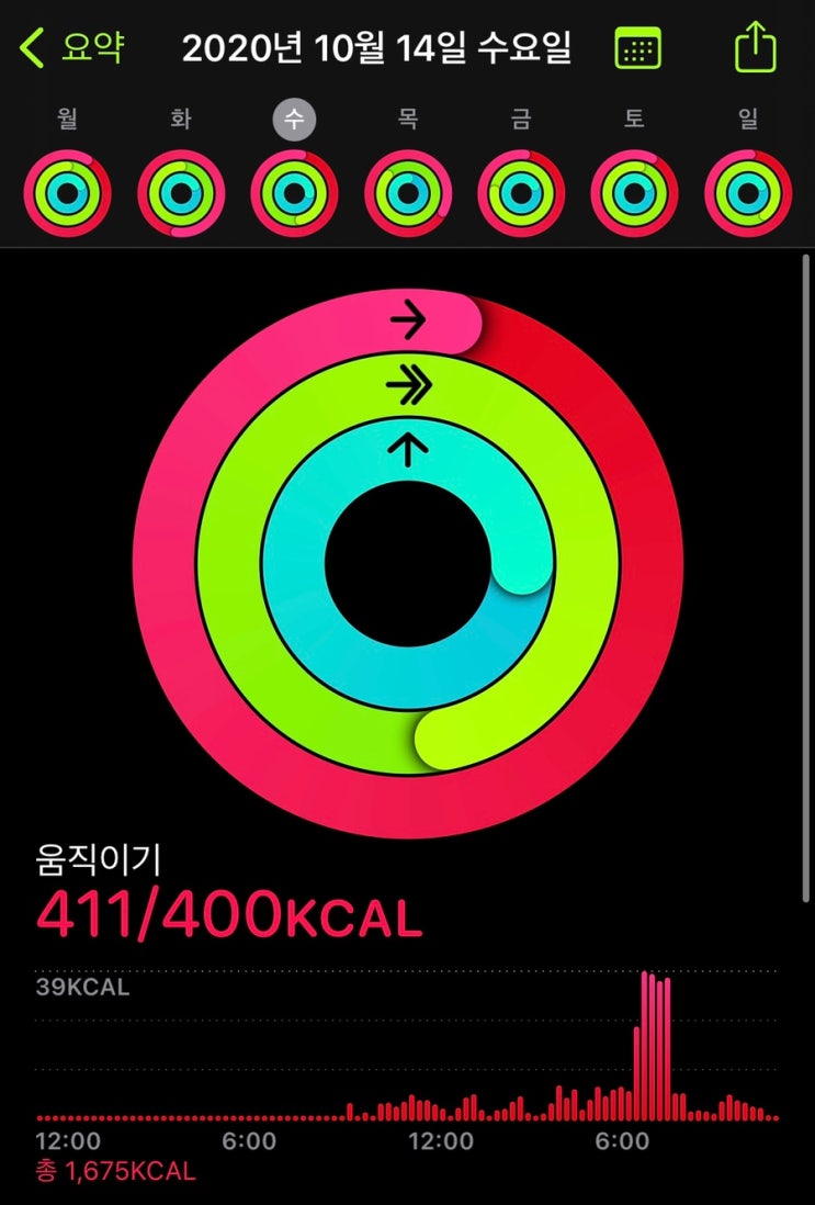 애플워치 활동링 : 네이버 블로그