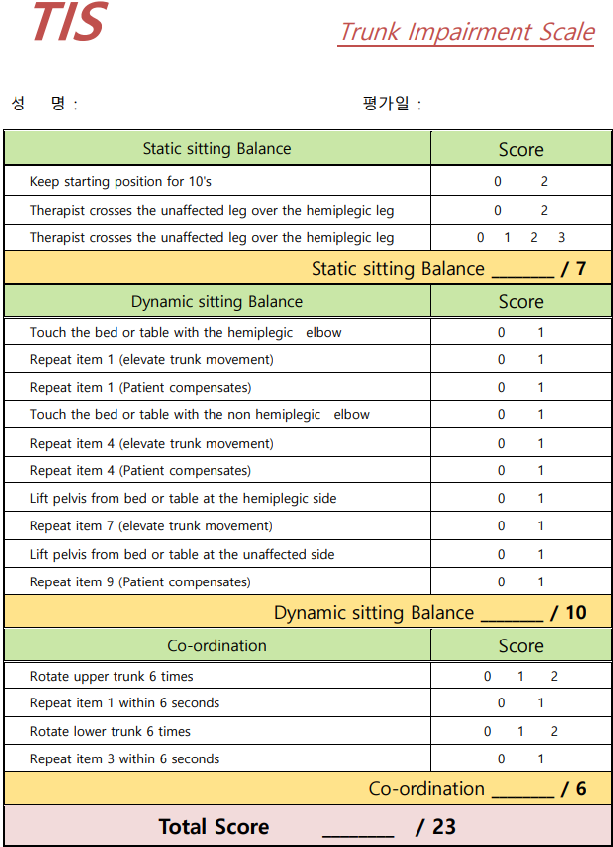 체간장애척도 TIS (Trunk Impairment Scale) : 네이버 블로그