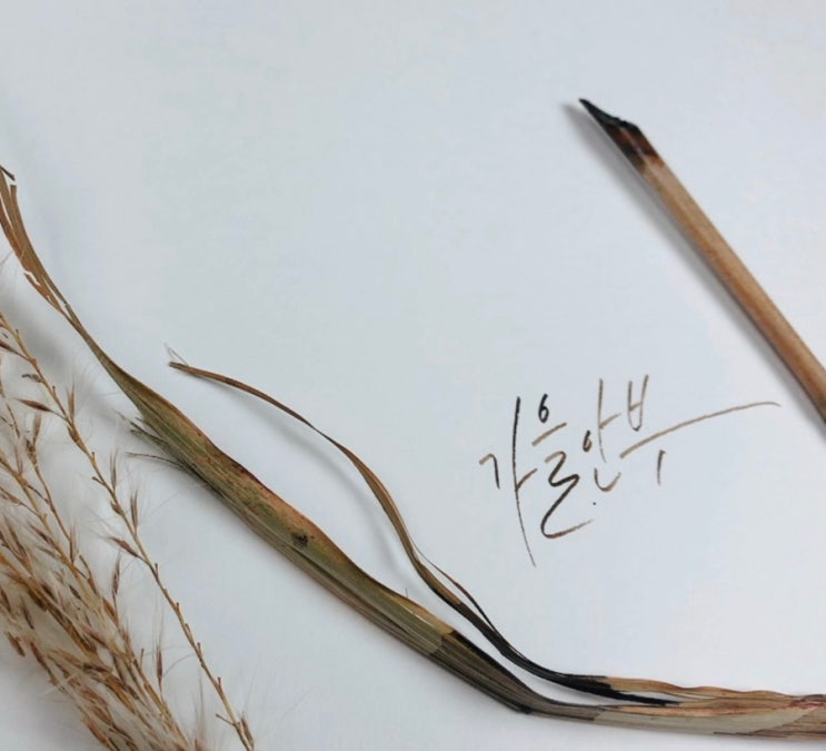 가을 닮은 손글씨 / 갈대로 손글씨 / korean calligraphy / hangeul : 네이버 블로그