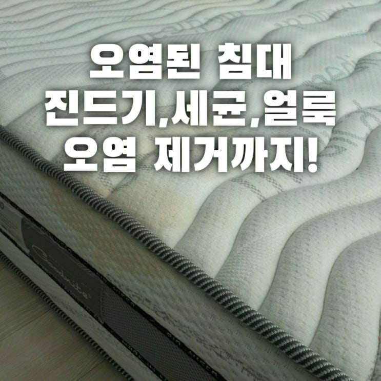 창원매트리스청소 건식습식 침대 진드기 및 오줌얼룩제거 네이버 블로그