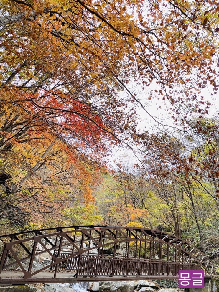 지리산 뱀사골 단풍 뱀사골 주차장 뱀사골 계곡 코스 추천 네이버 블로그