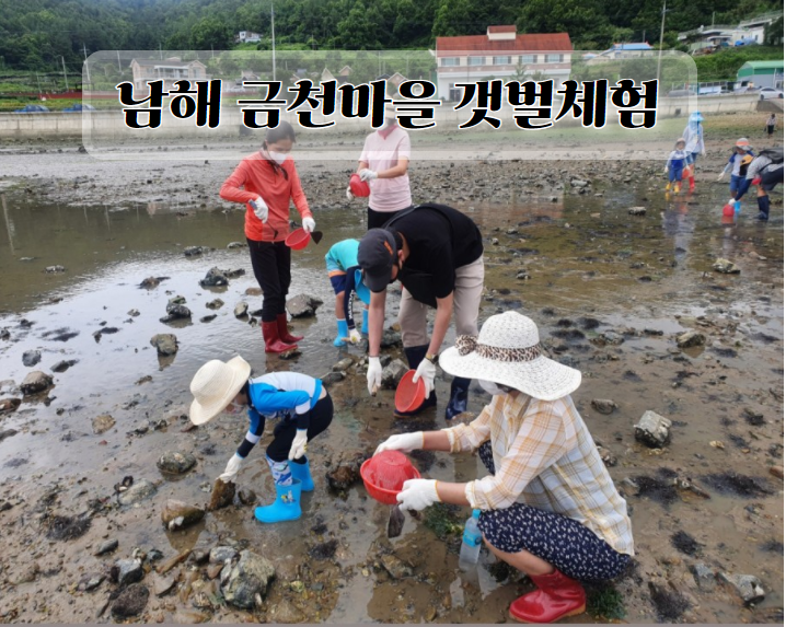 아이와 함께 남해갯벌체험 금천마을에서 체험하며 바지락과 쏙잡고 왔어요~ 네이버 블로그