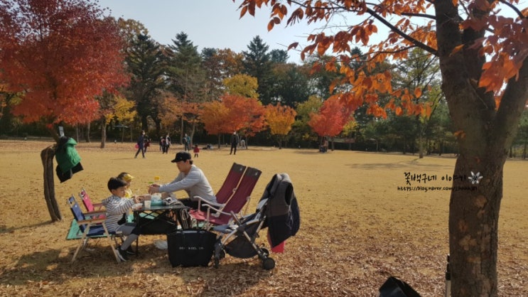 가을일상 :) 10월 31일 토요일, 10월 마지막, 회암사지공원 : 네이버 블로그