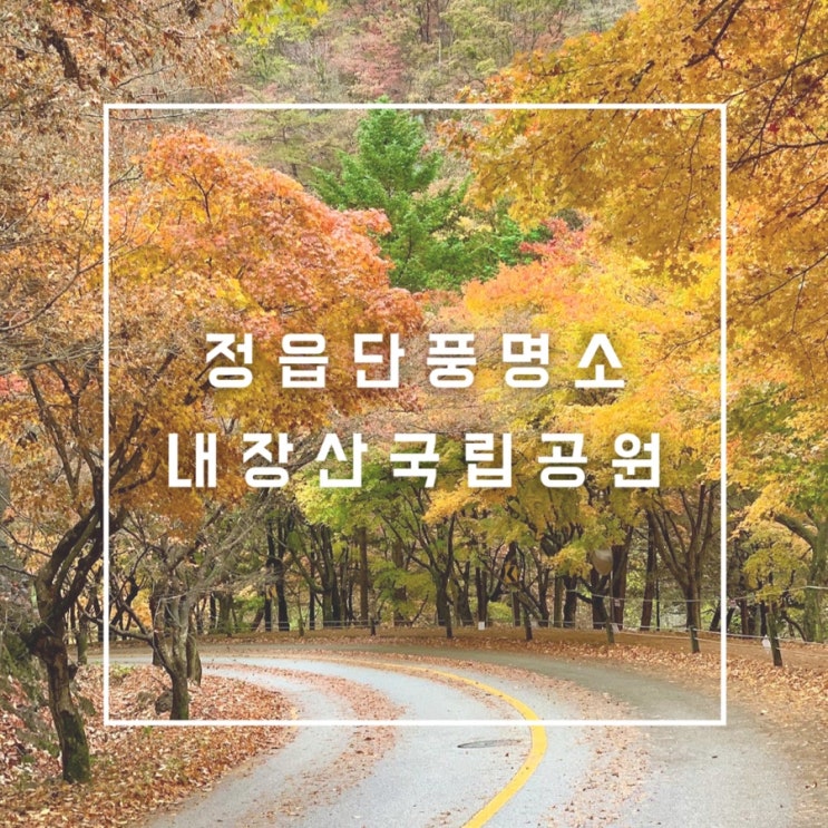 내장산 단풍구경 정읍 내장산 국립공원 단풍명소 추천 내장산 단풍 절정 정읍 단풍구경 내장산 케이블카 단풍