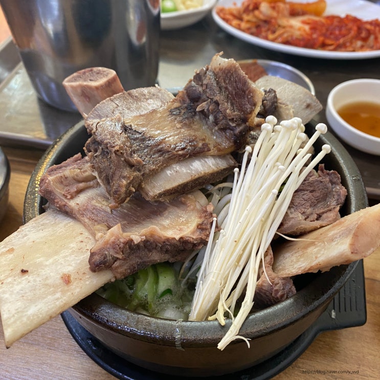 대구 중구청동인동 맛집|뜨끈한 왕갈비탕 금이옥 갈비탕 네이버 블로그