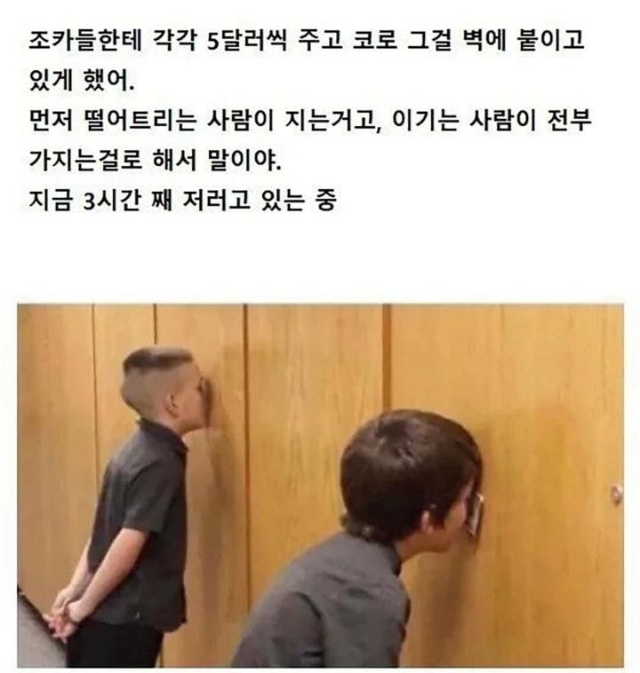 웃긴짤 모음 122 : 네이버 블로그