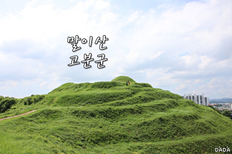 함안 가볼만한곳 요정샷을 찍을 수 있는 말이산 고분군 네이버 블로그