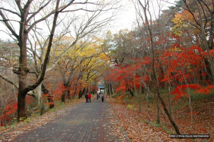 부산 And 부산근교 단풍 여행지 범어사계곡단풍 성지곡수원지단풍 언양석남사계곡단풍 통도사계곡단풍 법기수원지단풍