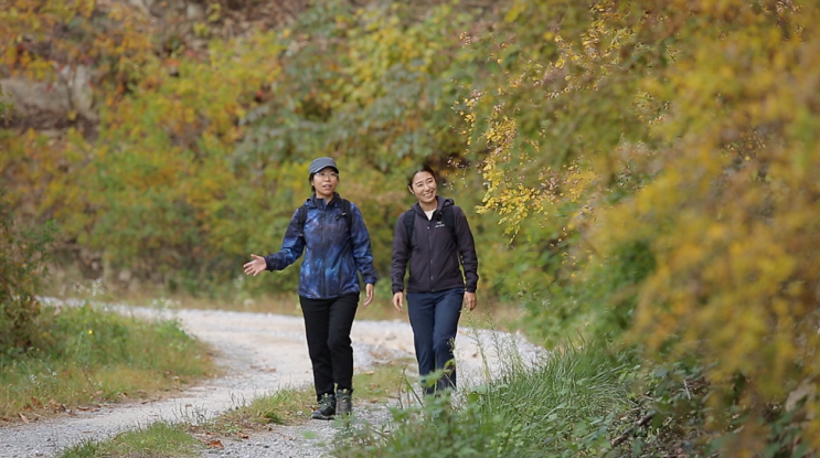 아주각별한기행 원주 싸리치 옛길 김섬주 황둔찐빵 맛집 황둔리 임도 단종 유배길 원주굽이길 15코스 휴양림 숲 아로마 테라피 아주 ...