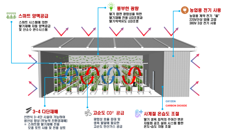 No04 식물공장 Led 딸기 재배를 위한 환경 조건 네이버 블로그