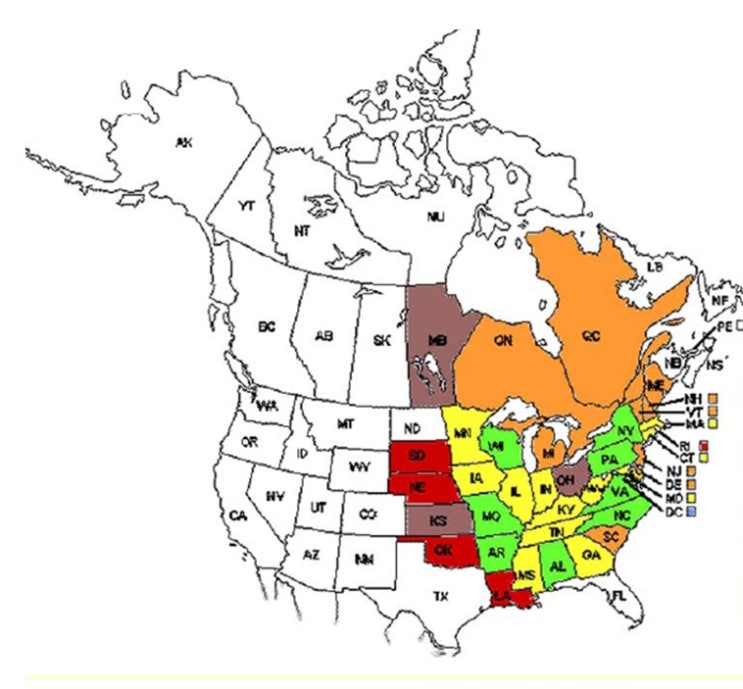 미국 산삼 (American Wild Ginseng) 이야기 : 네이버 블로그
