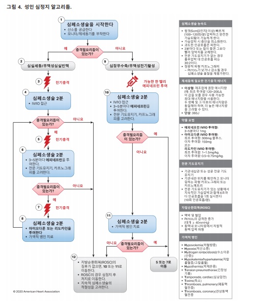 심정지 알고리즘 shockable rhythm - vf, pulseless vt : 네이버 블로그