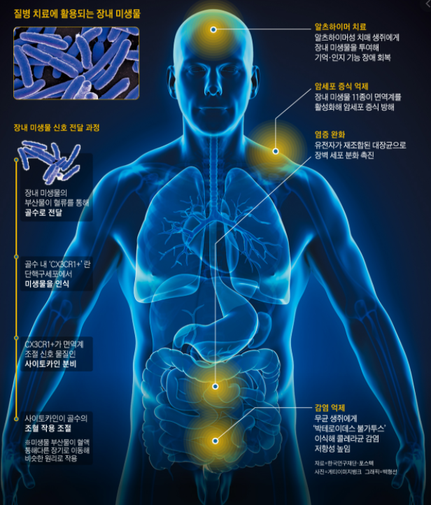 Ngs분석을 통한 유효성평가로 장내미생물환경을 알아보자한국의과학연구원 장내미생물분석센터 네이버 블로그