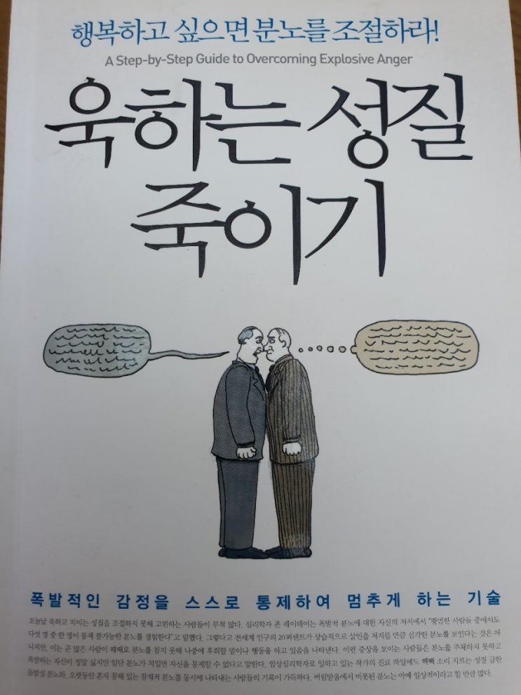 욱하는 성질 죽이기 A step-by-step guide to overcoming explosive anger (로널드 T ...