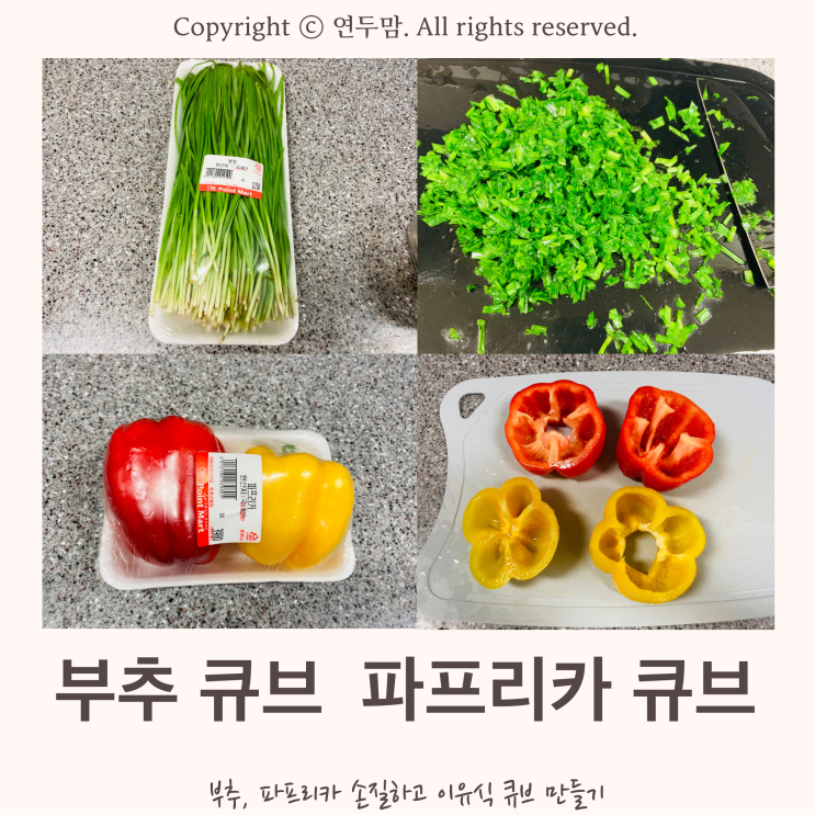 부추 큐브 파프리카 큐브 부추 파프리카 손질하고 후기 이유식 큐브 만들기 네이버 블로그