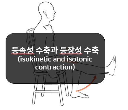 등속성 수축(Isokinetic Contraction)과 등장성 수축(Isotonic Contraction)의 차이 : 네이버 블로그