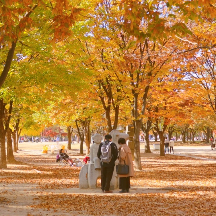 가을 단풍 멋진 서울 가볼만한곳 서울숲 갤러리아포레 주차 했음 네이버 블로그