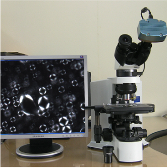 일본 올림푸스 라멜라관찰 편광현미경 BX41 : 네이버 블로그