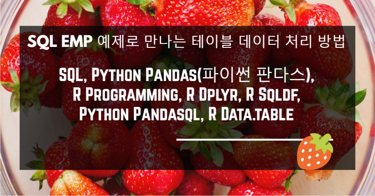 SQL EMP 예제로 배우는 데이터 처리 방법 6-10 (SQL, Pandas, R Prog, Dplyr, SQLDF ...