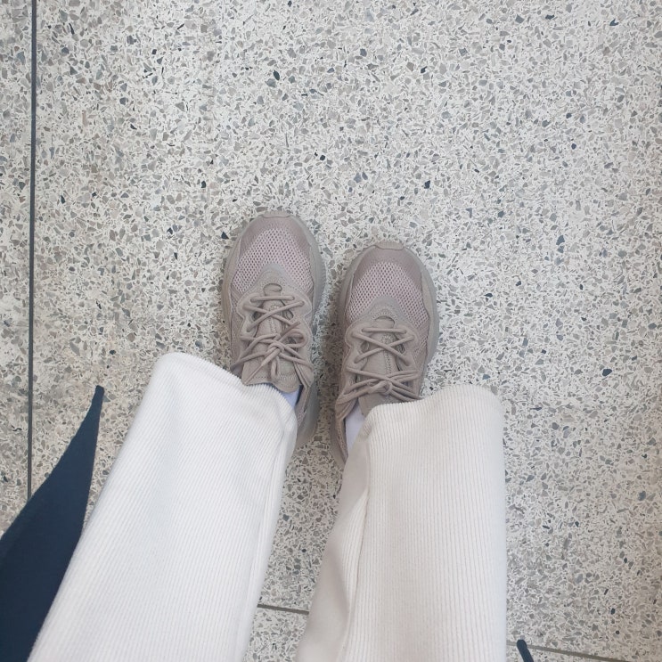 [리뷰] 아디다스 오즈위고 블러쉬 후기 (사이즈추천) : 네이버 블로그