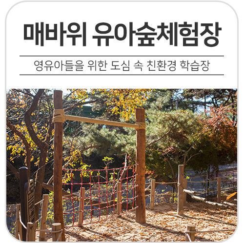 영유아들을 위한 도심 속 친환경 학습장 서대문구 백련산 매바위 유아숲체험장 네이버 블로그