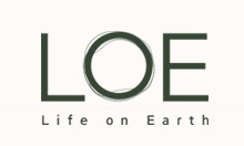 [로에 LOE] 가성비라고 치부하기엔 아까운 향기 4종 시향기 : 네이버 블로그