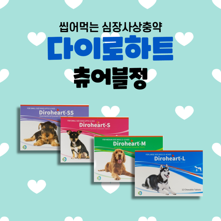 큐어벳 약이야기 다이로하트 츄어블정 하트가드와 동일성분 가성비 좋은 심장사상충약이버멕틴 네이버 블로그