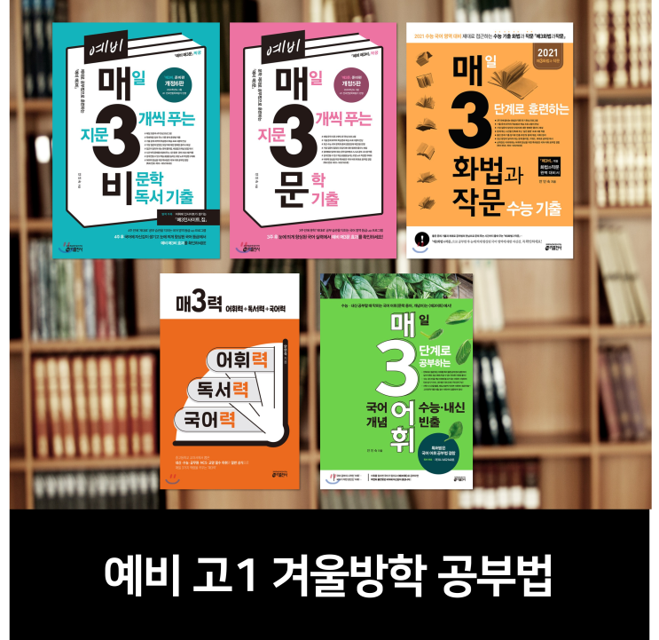 예비고1 겨울방학 공부법 공부 계획 국어 문제집 추천 네이버 블로그