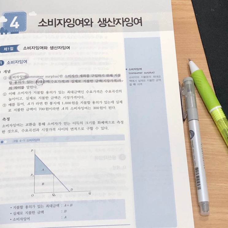 학습후기 황정빈 공기업 경제학 소비자잉여와 생산자잉여 네이버 블로그