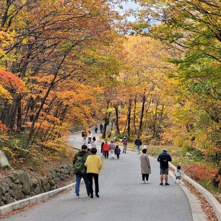 삼척-고성 2박3일 가을여행 행복한 일정정리 : 네이버 블로그
