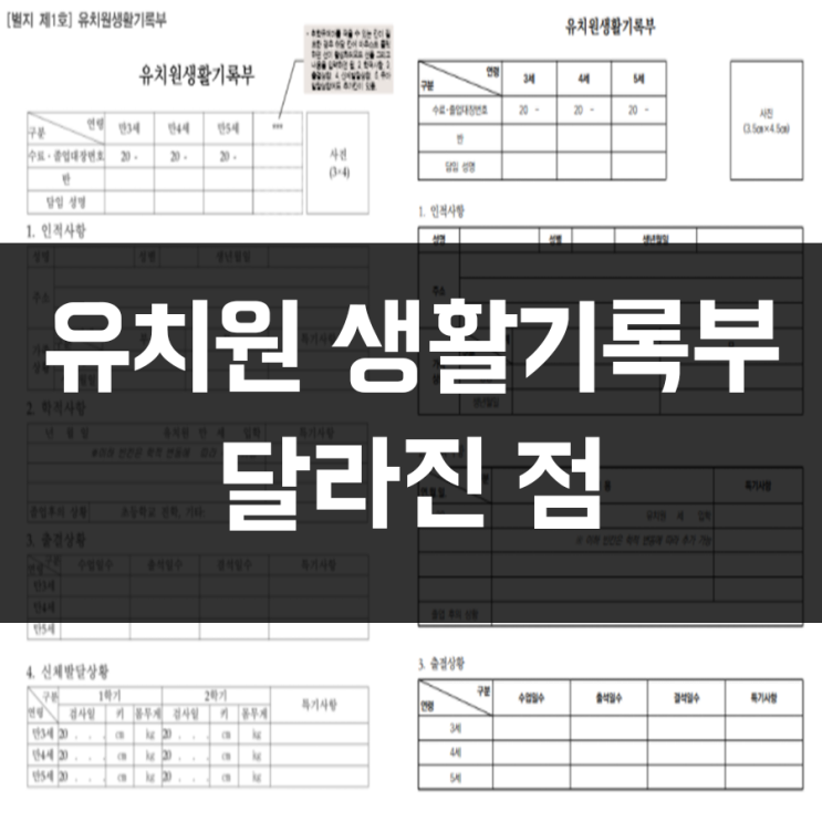 2020 유치원 생활기록부 개정 양식 및 예시문 공유 네이버 블로그