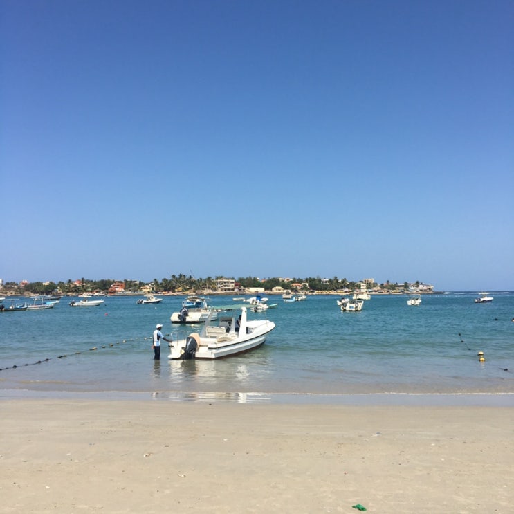 [세네갈 여행] 조용하고 평화로웠던 다카르 Ngor island (응고르 섬) 나들이 : 네이버 블로그