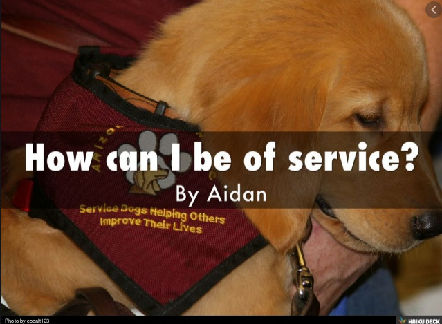 오늘의 영어표현(1319) How can I be of service? : 네이버 블로그