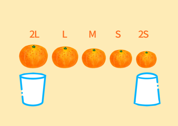 감귤 크기 비교하기! 2S, S, M, L, 2L 사이즈를 알려줘! : 네이버 블로그