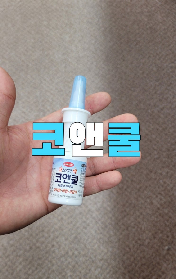 비염 코막힘 나잘스프레이 코앤쿨 비염약 만성비염의 솔직한 사용후기 네이버 블로그