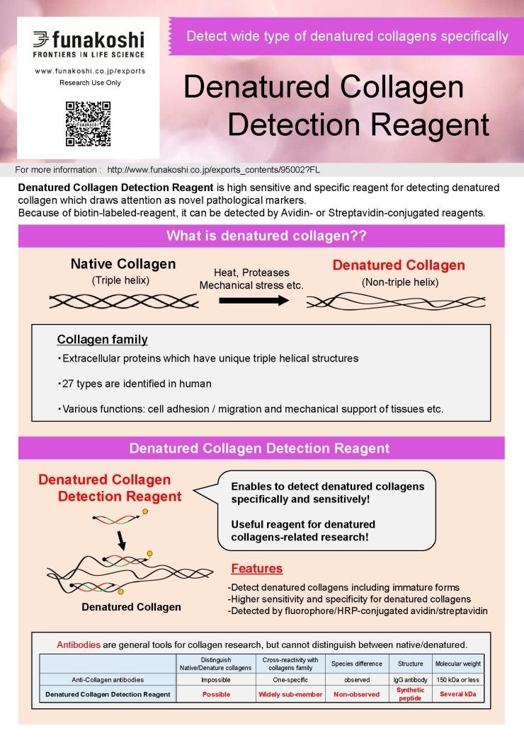 [변성 콜라겐 분석/확인 시약] BindCOL, biotin-conjugate, Denatured Collagen ...